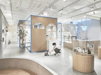 Modern Veterinary Hospital | modernvet