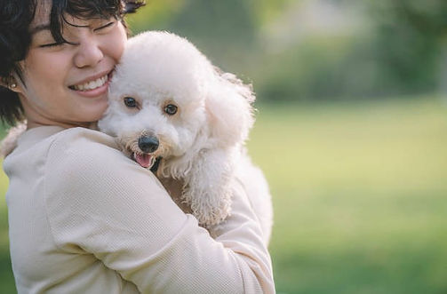 Modern Veterinary Hospital | modernvet