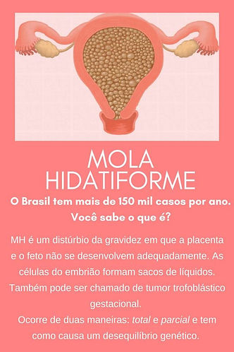 Atlas 3D de Embriologia | Morfologia