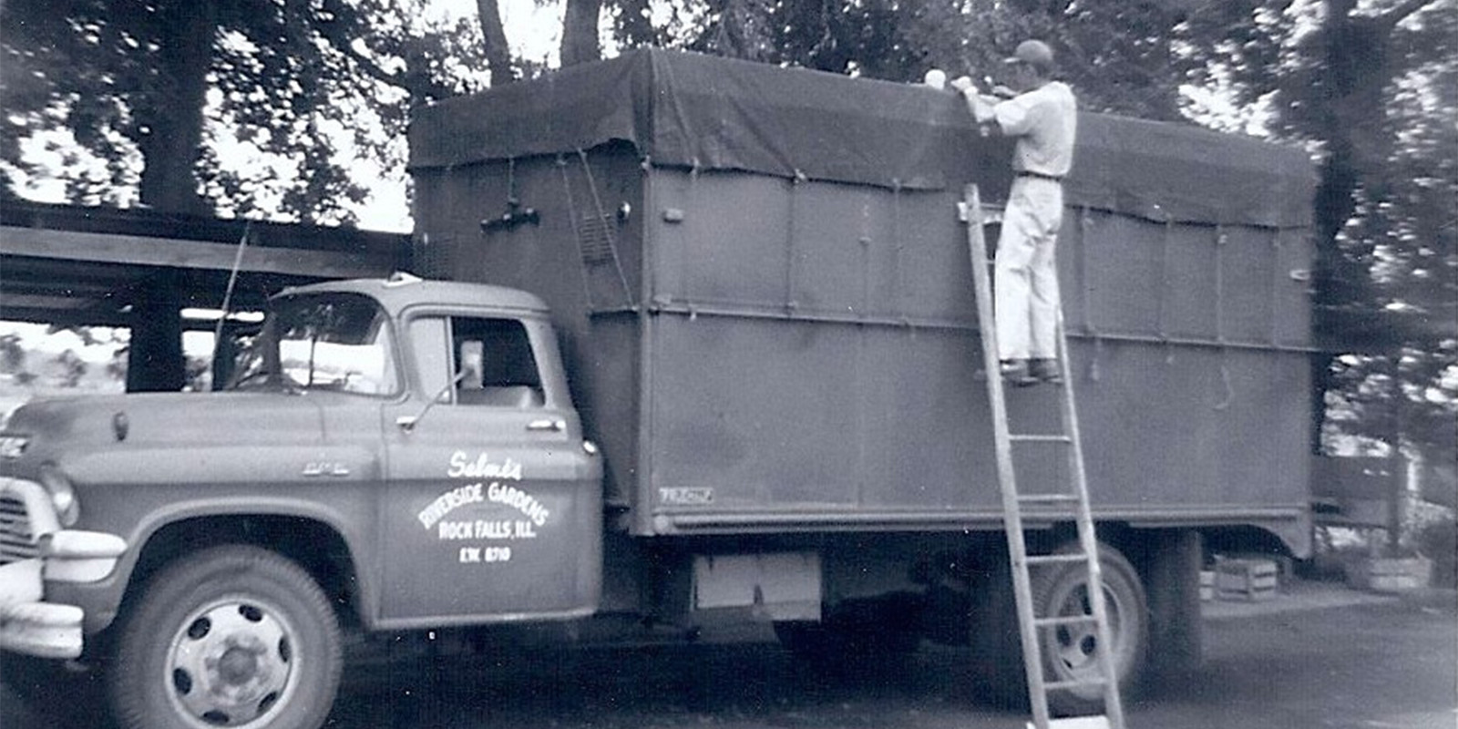 Our History | Selmi's