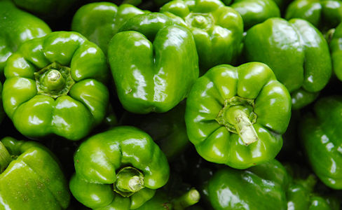 Fresh Produce Farm in Rock Falls, IL | Selmi's Farm Market