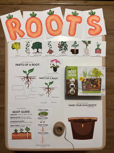 ROOTS Printable Learning Pack for Kids | Healthy Spirit & Body