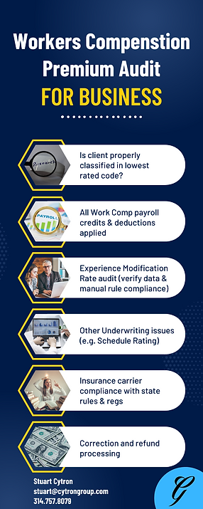 Work Comp Premium Audit | Cytron Group LLC
