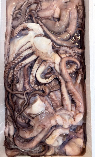 Raw Giant Squid Leg | | Seafood Xpress