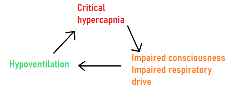 Blood Gases (the theory- part 1)