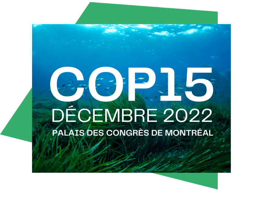 UN Biodiversity Conference (COP 15) Brings the World Together to Set ...