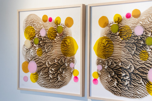 HOLI (pair) | Alexandra Weston Art