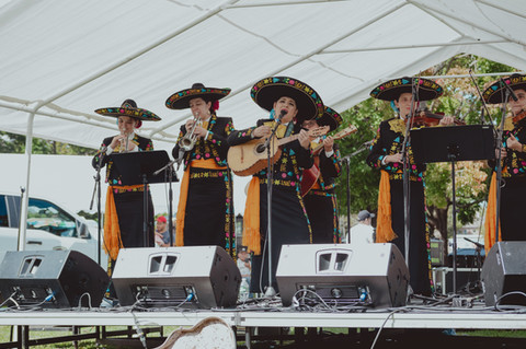 Home | Bread & Roses