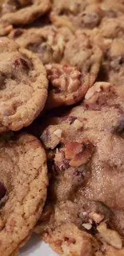 Robust Chocolate Walnut | Savory & Sweet Treat