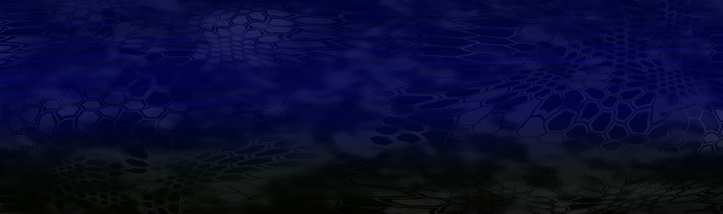 Sebastian fishing charters | Filet Show fishing