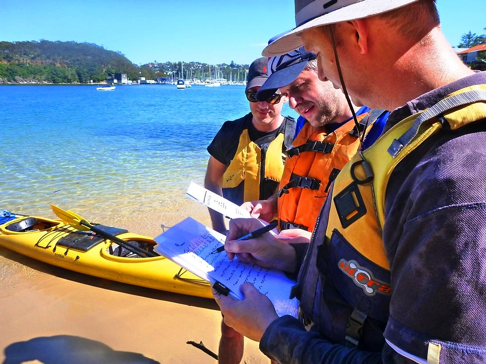 Sydney Harbour Kayaks - Team Building Activity