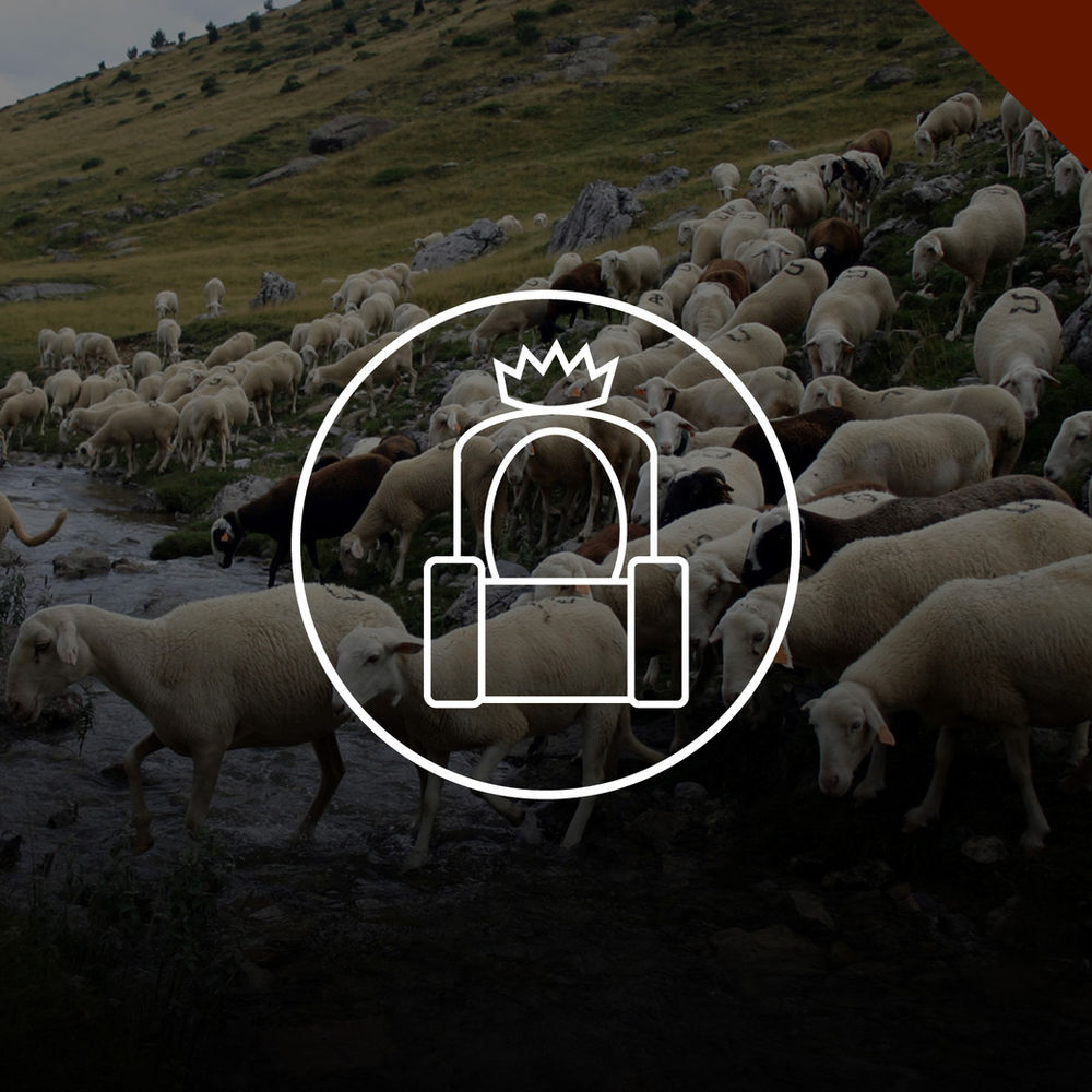 Sheep & Goats Judgment