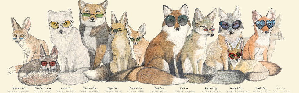 Freelance Illustrator | Lisa Fields Illustration