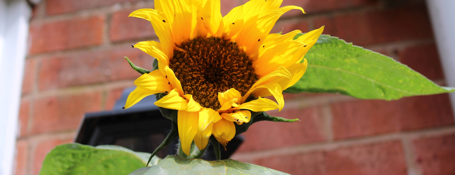 HOME | Arnesby Camps