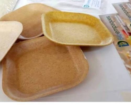 Plato cuadrado Biodegradable | Bio-PlaT