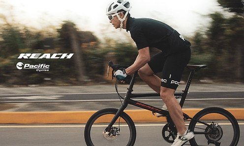 REACH GT | Birdybikes
