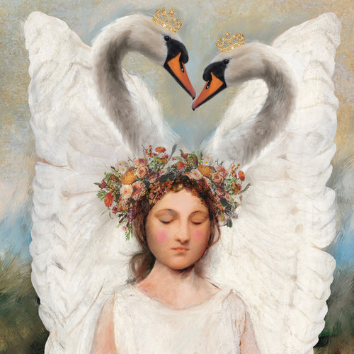 'The Swan Princess' canvas print | hayley hamilton