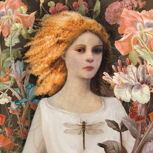 'A Dragonfly Day' canvas print | hayley hamilton