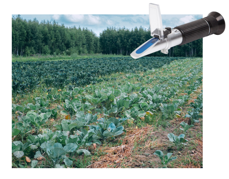 Why do we measure plant BRIX levels