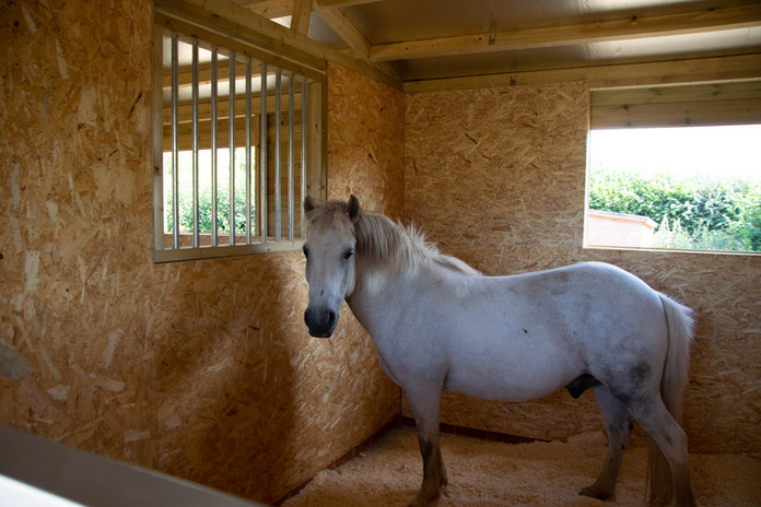 Stables | Devonshire Stables