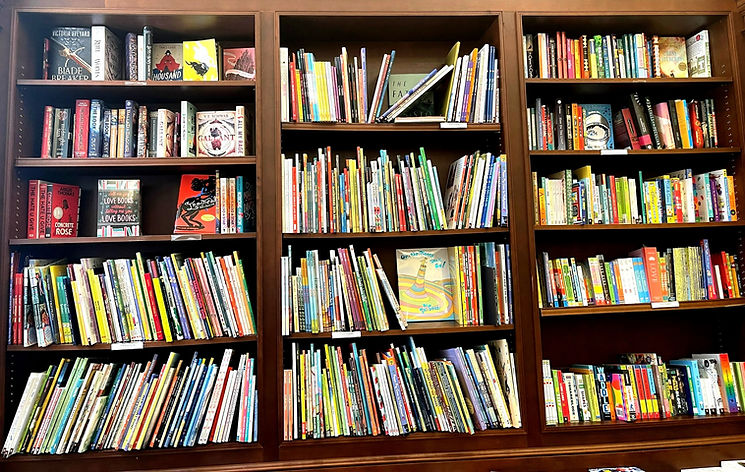 DLC - Dynamic Learning Connection