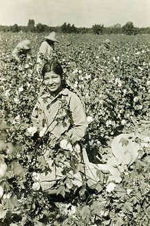 mexican immigrant workers