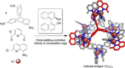 Publications | TheNitschkeGroup
