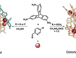 Publications | TheNitschkeGroup