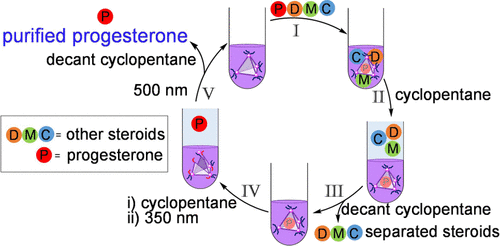 Publications | TheNitschkeGroup