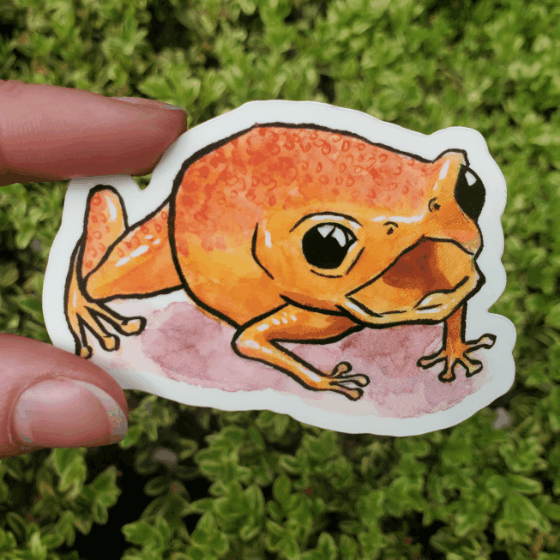 It's Freaking Frogs! - Matte Sticker Pack | Art by Trisha Hall