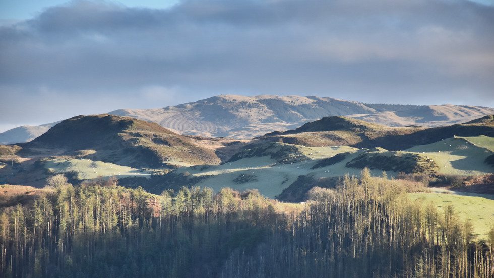 The Area | Cambrian Mountains | Wales