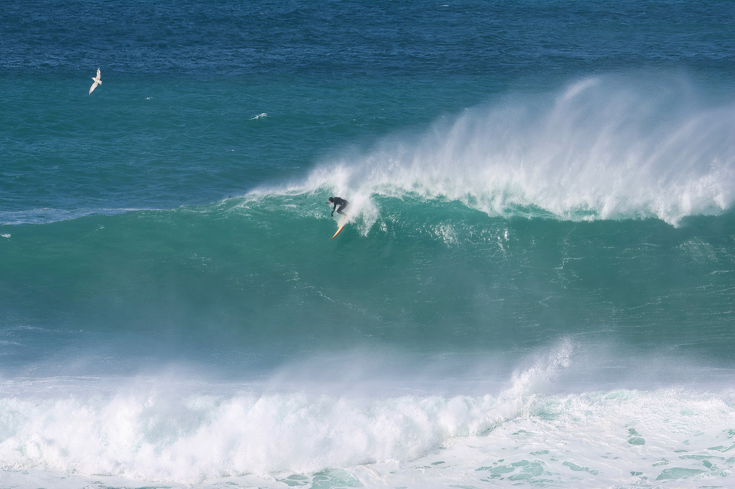Surf Science Newquay - Surf Sanctuary