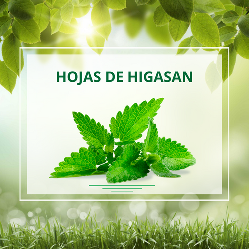Hojas de Higasan | Centro Naturista