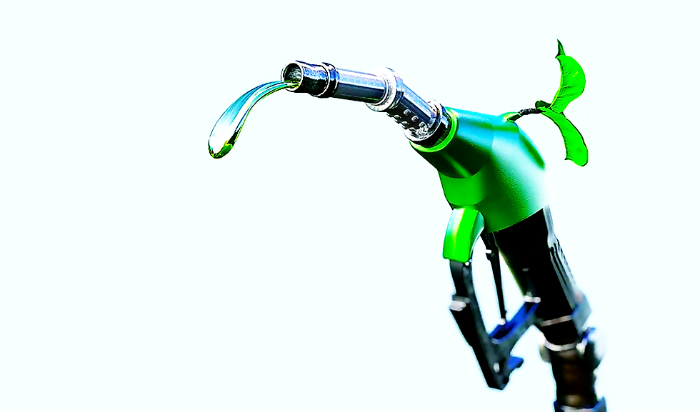 Green's Glorious Genesis: Fuels' Future Flourishes | OREACO