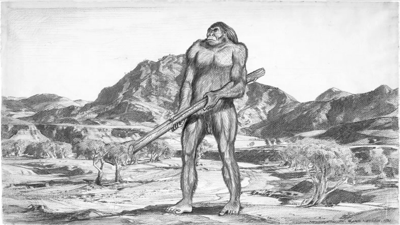 Jimbra | superbugtom