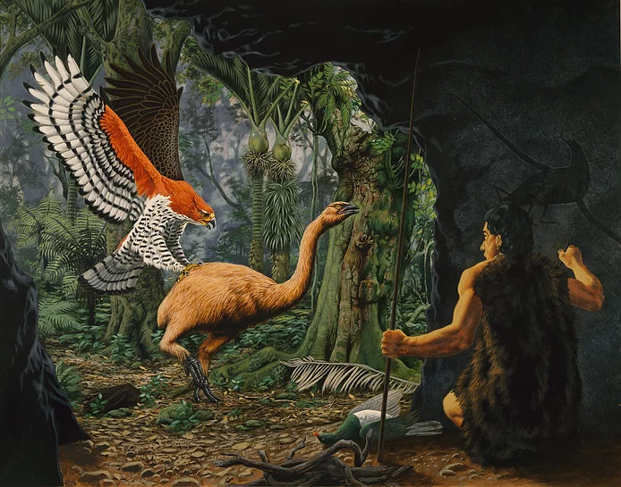 Haast's eagle | superbugtom