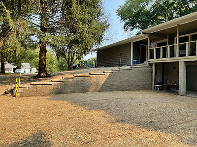 Home | Yard Shark Lawn Care