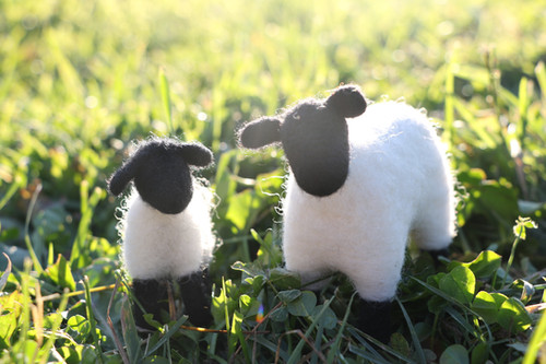 Sheep Felting Kit | Woolly Meadows