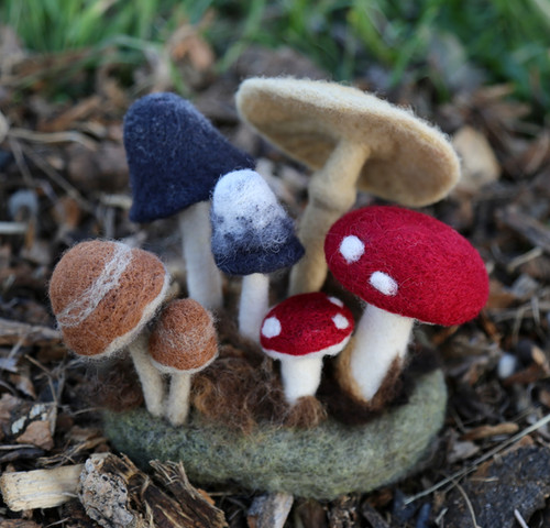 Large Mushroom Fungi Felting Kit | Woolly Meadows