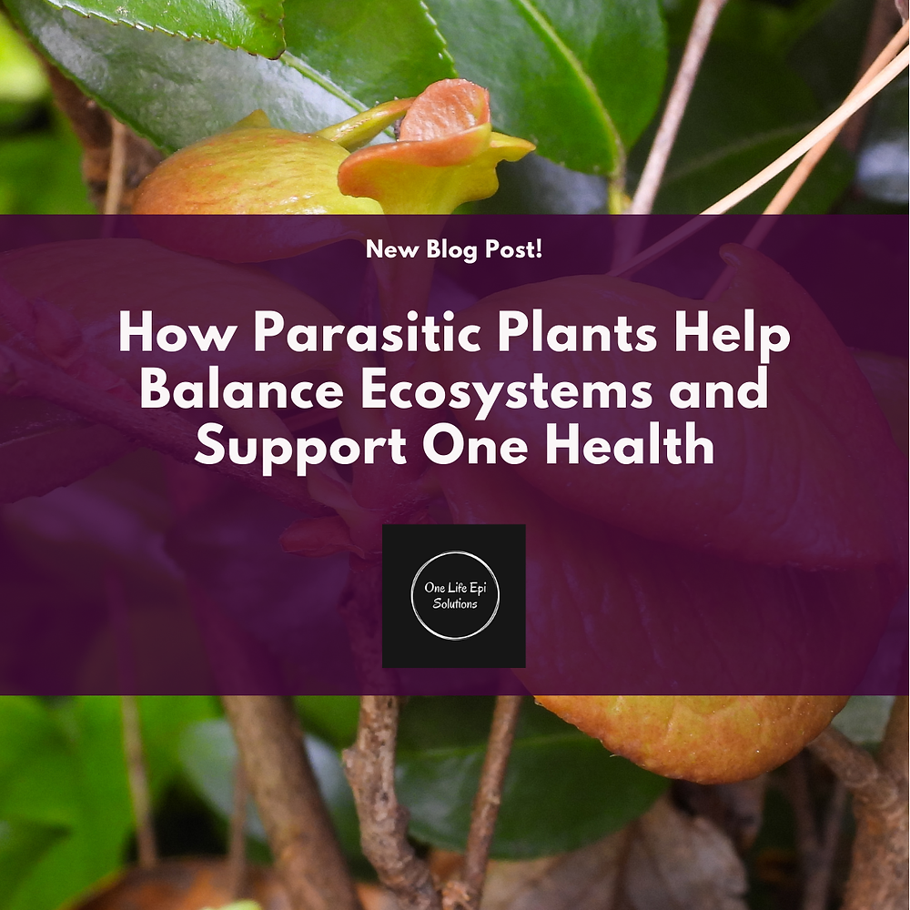 How Parasitic Plants Help Balance Ecosystems and Support One Health
