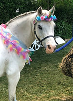 Horseriding | Scooty Wootys Pony Parties | England