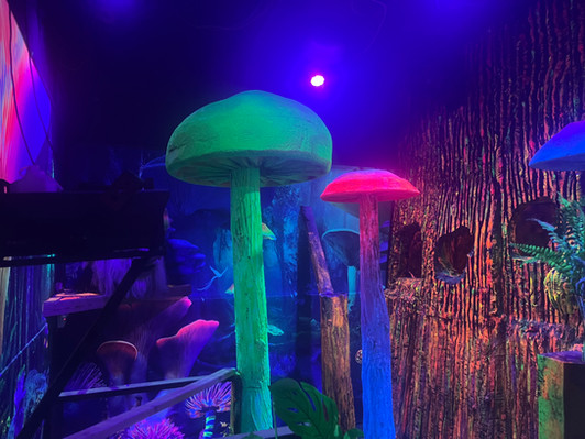 Laser Tag | The Edge