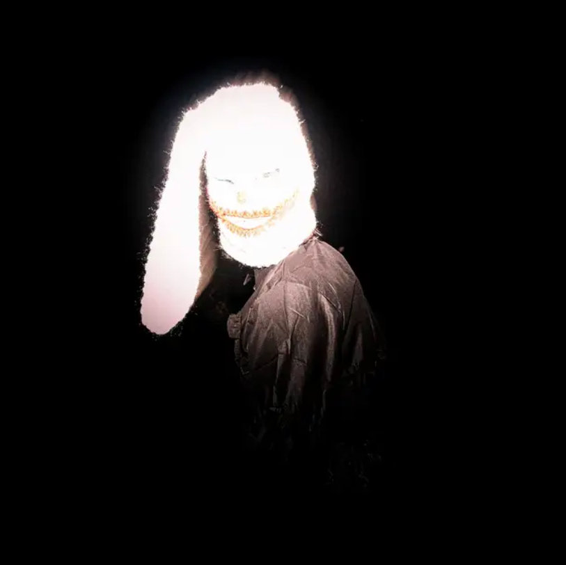 Dev Lemons hits us with her electrifying, dark-pop anthem "Freak Show"