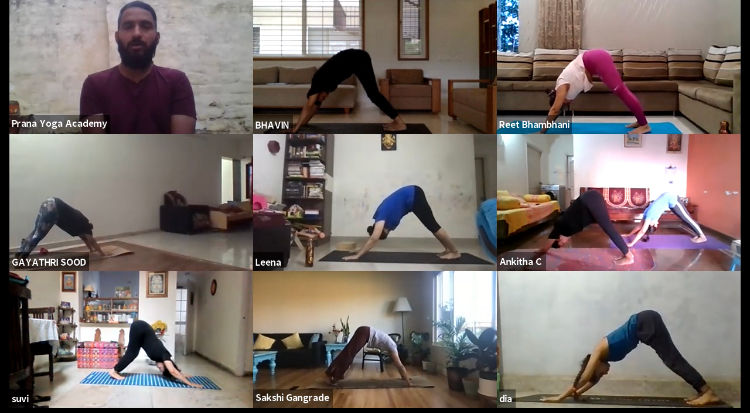 Online Regular Yoga Classes | PRANA YOGA ACADEMY