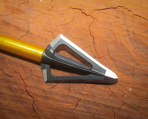 ZOT 100 GRAIN | Kayuga Broadheads