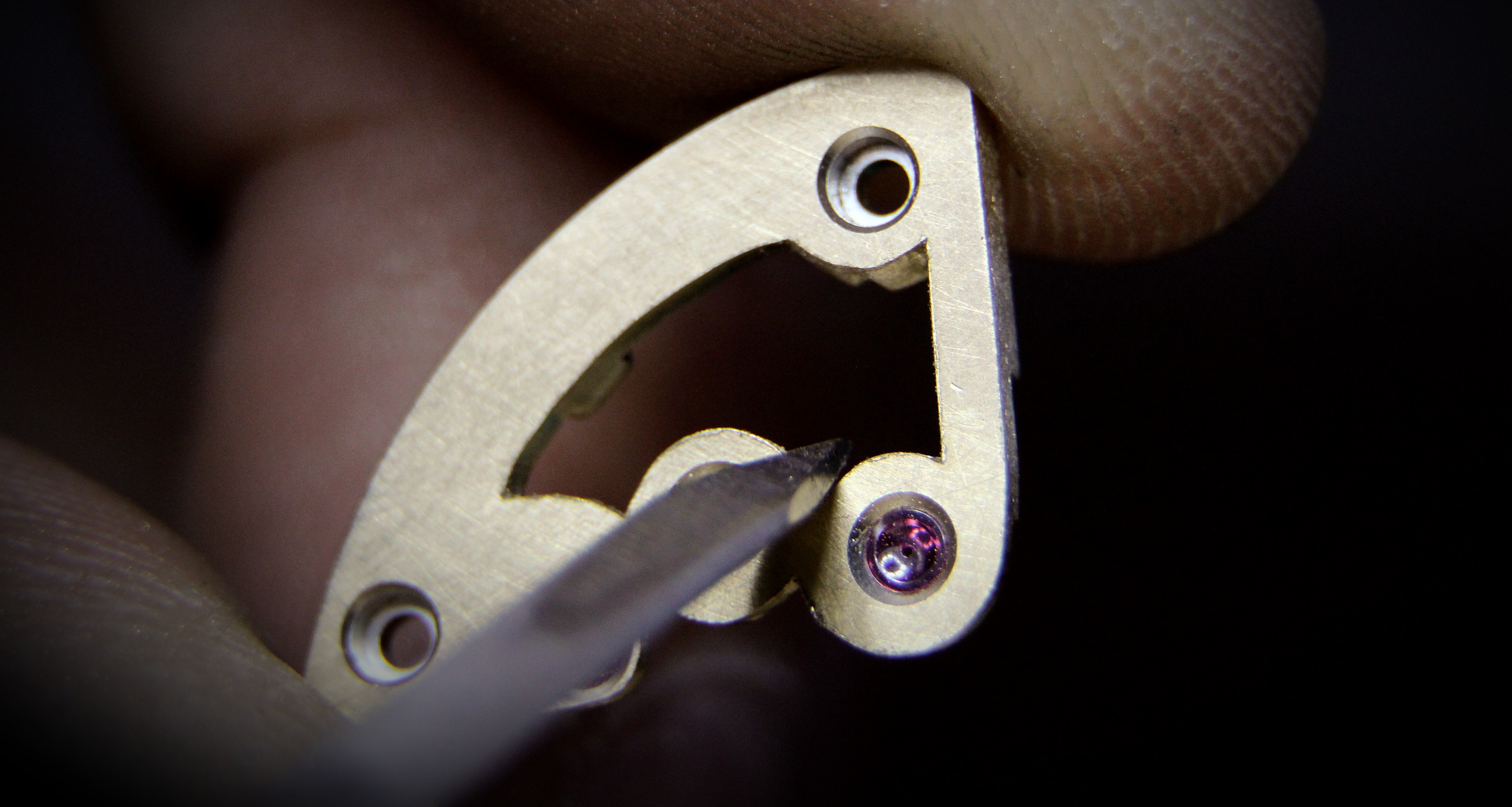 DHVJ | Décoration horlogère & Anglage | Genève, Vaud Suisse