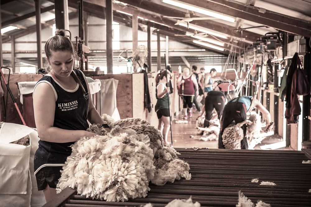 Wool Courses | Shearer Woolhandler Training