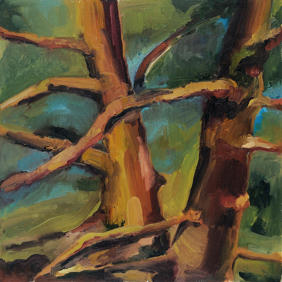 Closer to Home | Renee L Newell Studi