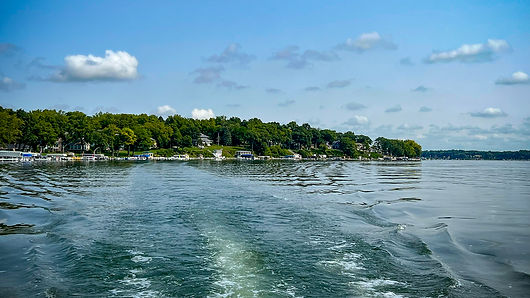 Announcements | Delavan Lake Improvement Association (DLIA)