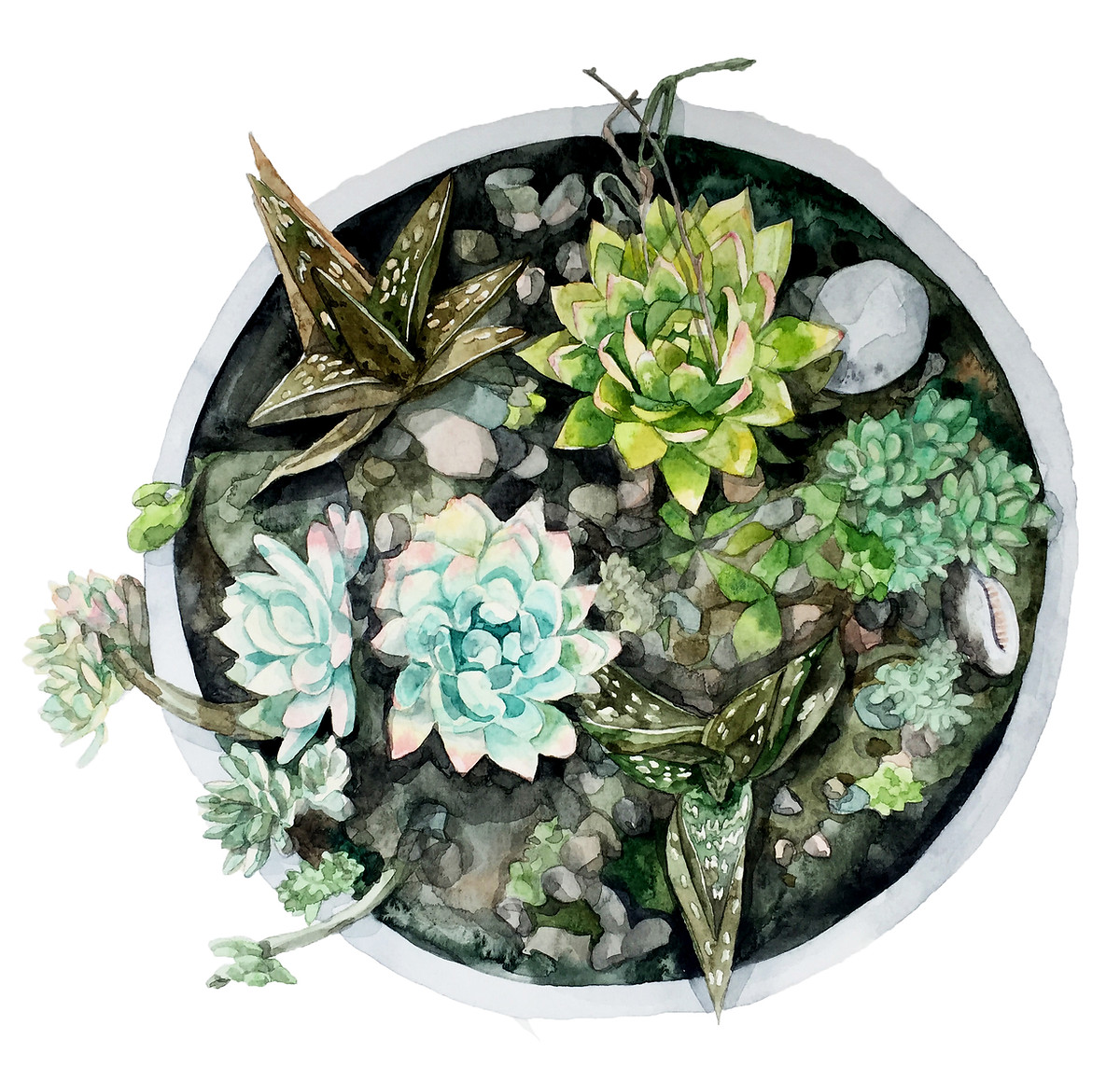 how to draw watercolour flowers in illustrator